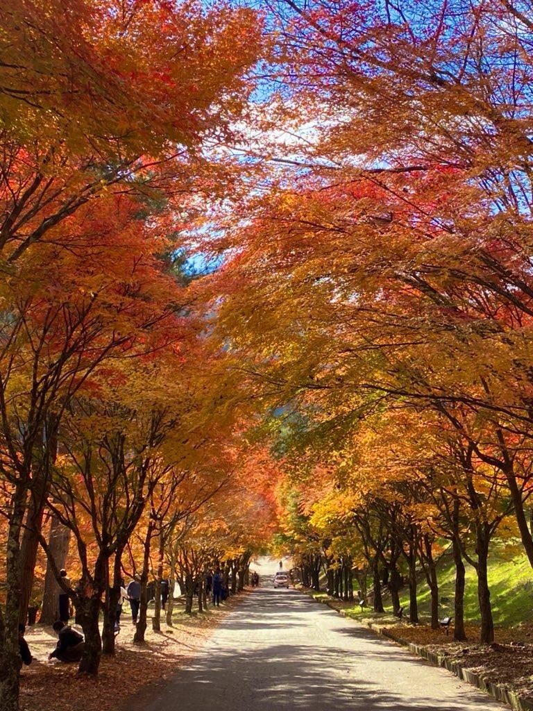 ことしも行けた🍁 「じゃらんnet」の... / ポンエリ☺︎さんのモーメント | YAMAP / ヤマップ