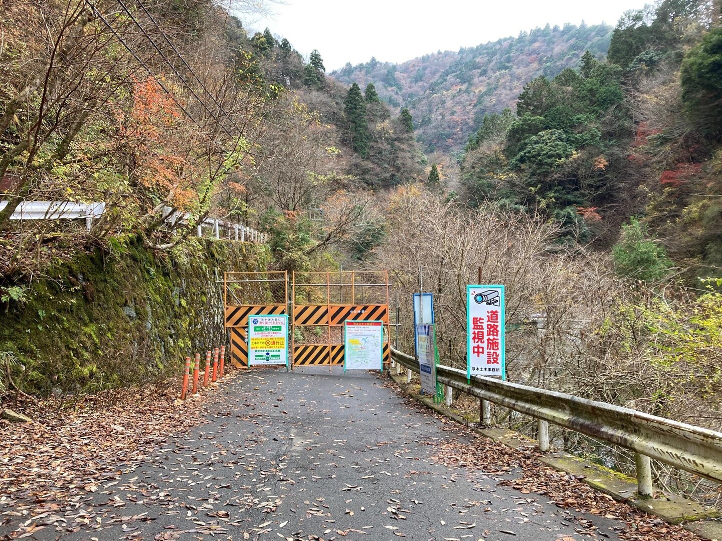 gar!さんの投稿したフィールドメモ | YAMAP / ヤマップ