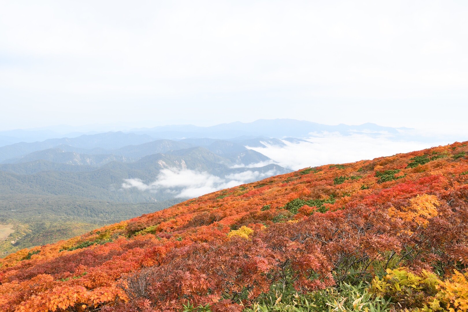 栗駒山、秋に彩られる / Sakuさんの栗駒山（須川岳）・秣岳・虚空蔵山の活動データ | YAMAP / ヤマップ