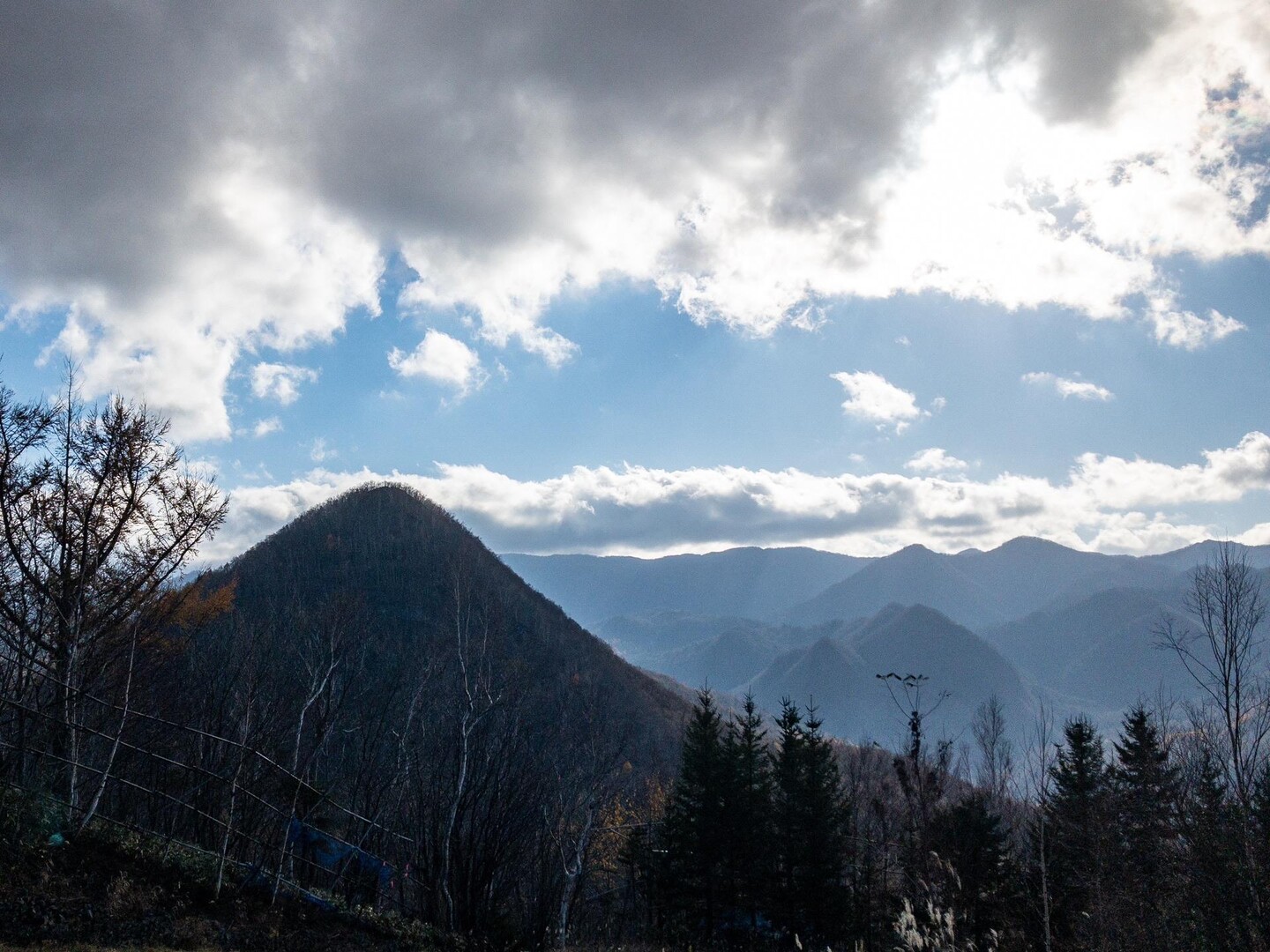 冬の始めの 豊栄山（Fu’s） / のっきんさんの豊平山（焼山）の活動データ | YAMAP / ヤマップ