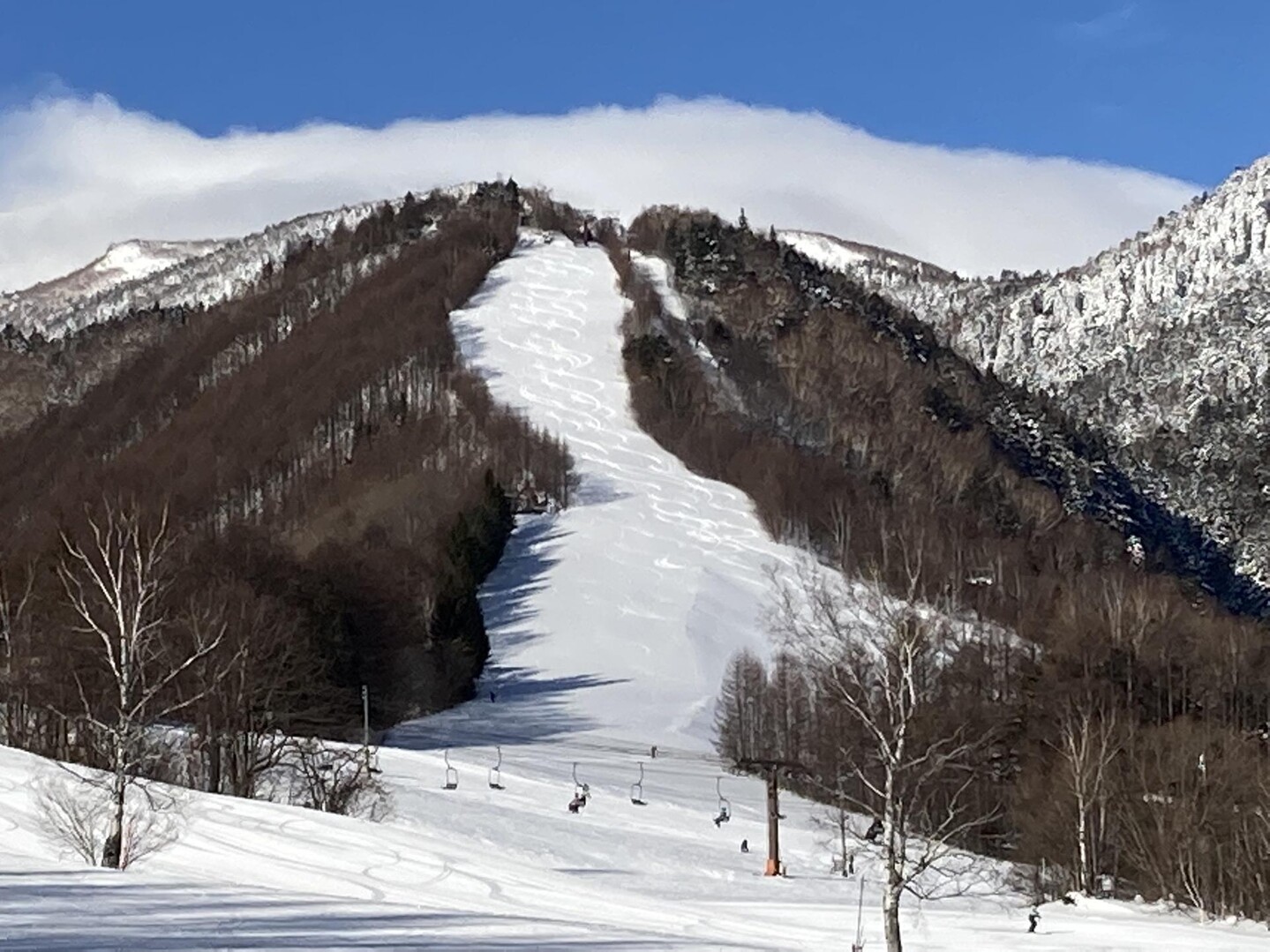 Mt.乗鞍 鳥居尾根BCスキー練習 第1回-2022-12-31 / mc40さんの松本市の活動データ | YAMAP / ヤマップ