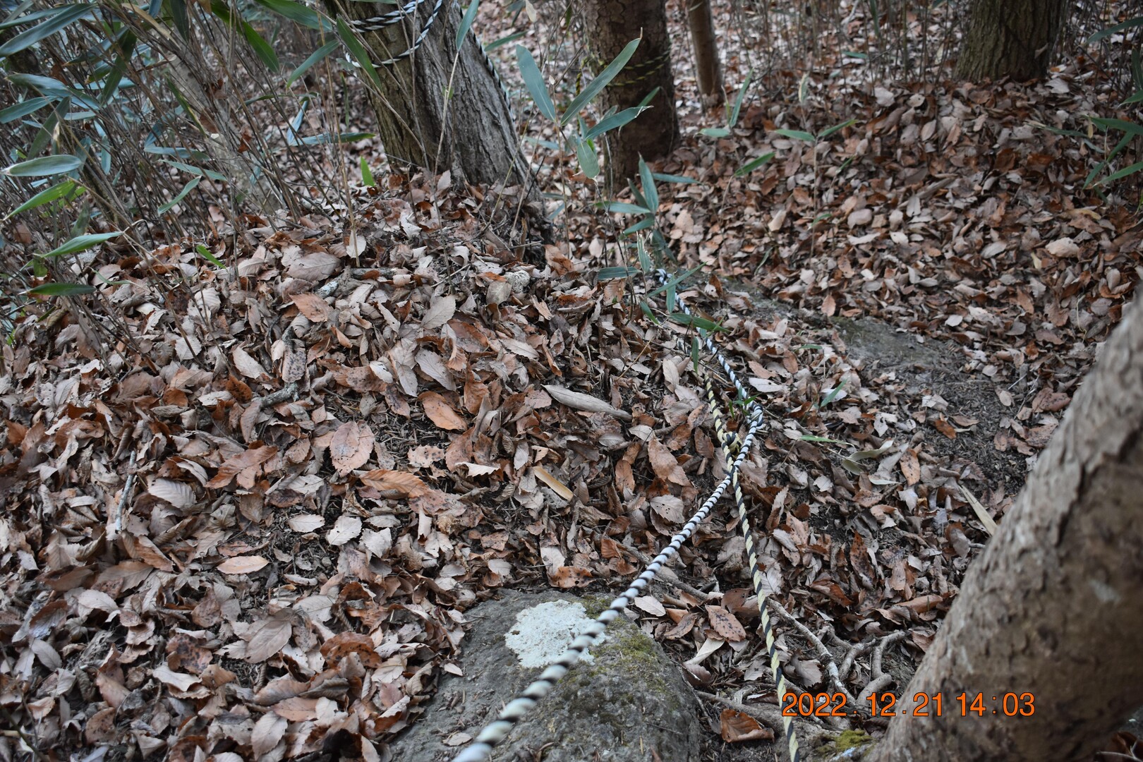 ピエール・HOSHIさんの投稿したフィールドメモ | YAMAP / ヤマップ