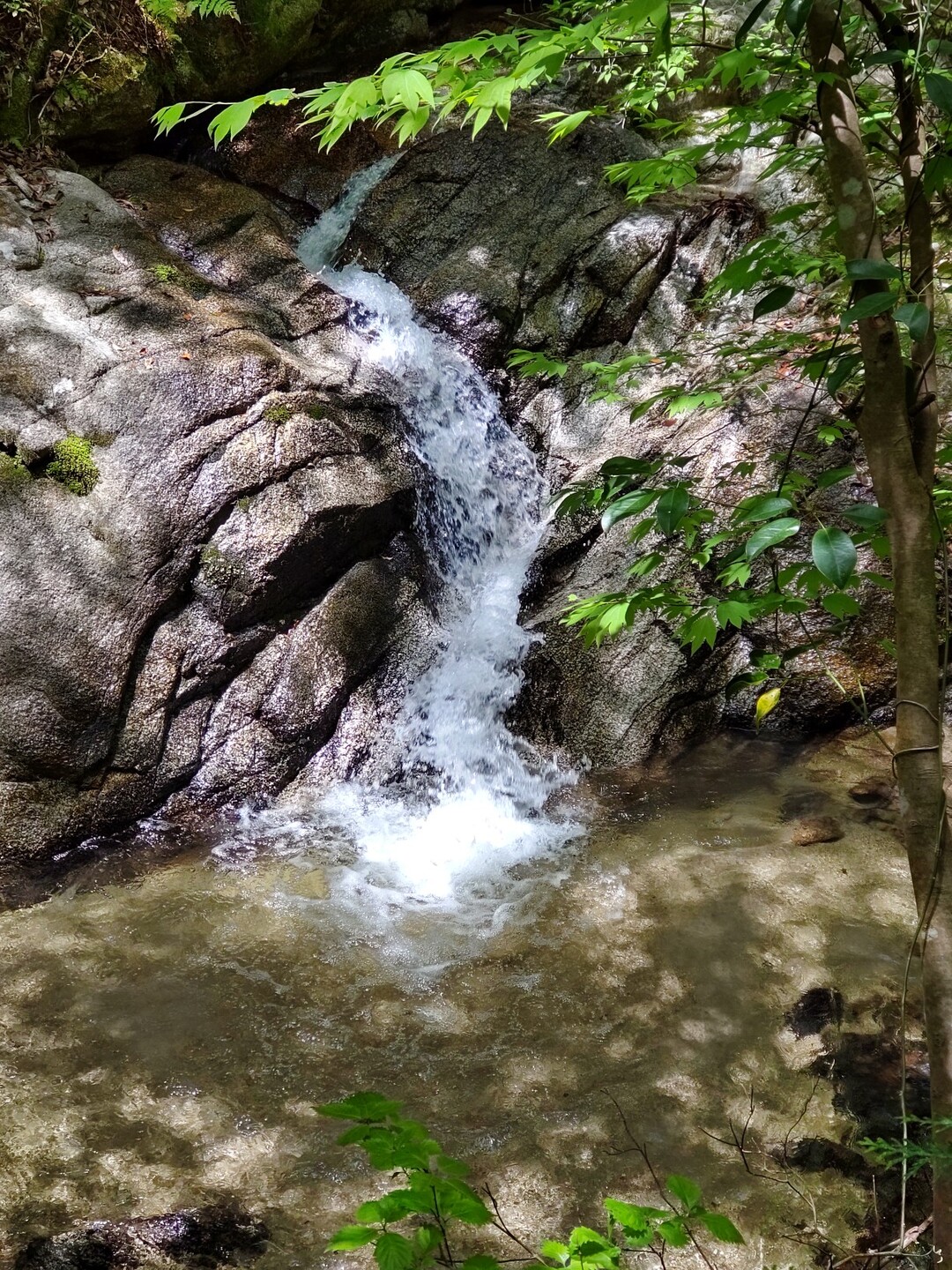 gakuzaemonさんの投稿したフィールドメモ | YAMAP / ヤマップ