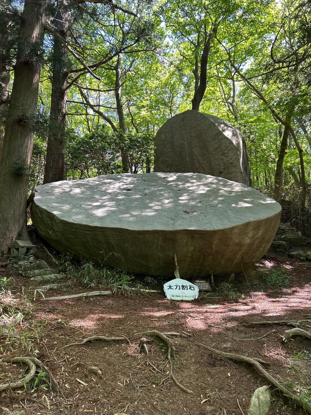 土岳・竪破山・都室山・横根山 / tottuanさんの土岳・花貫渓谷・竪破山の活動データ | YAMAP / ヤマップ