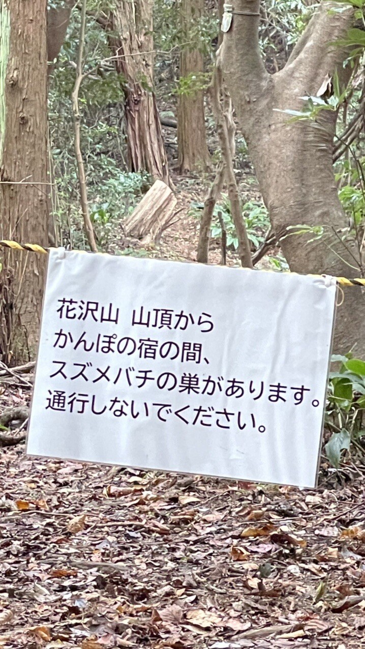 ⚠️花沢山 満観峰⚠️ かんぽコースにス... / aya*neさんのモーメント | YAMAP / ヤマップ