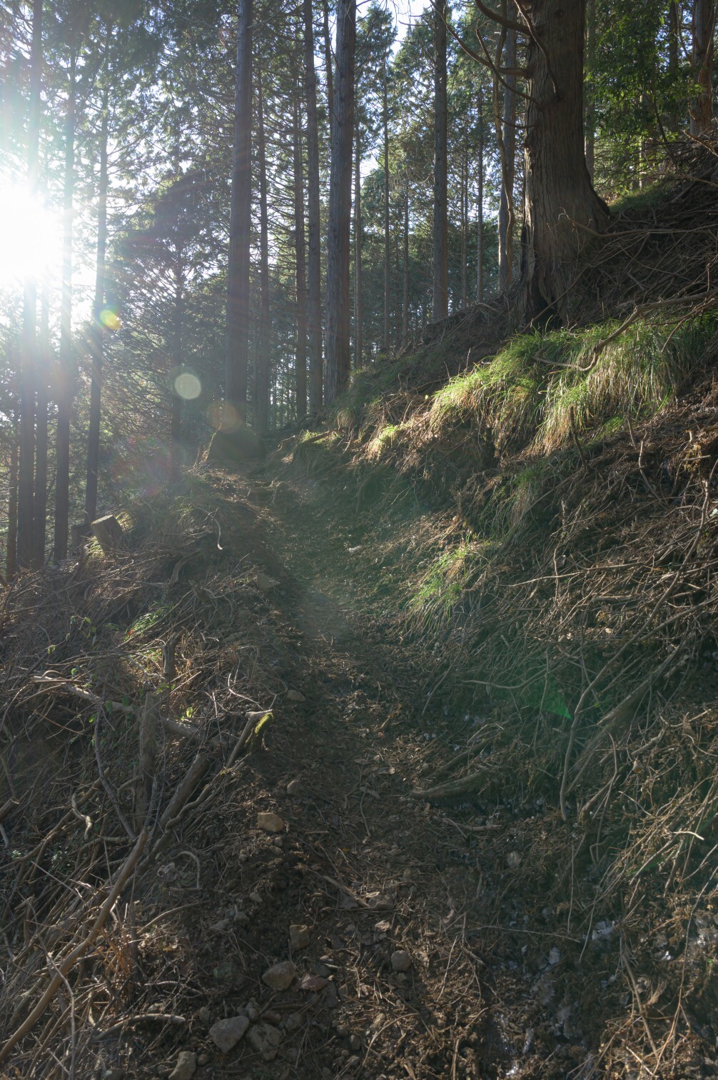 明神ヶ岳の動画アップしました🙌 よかっ... / vlog_tottiyさんのモーメント | YAMAP / ヤマップ