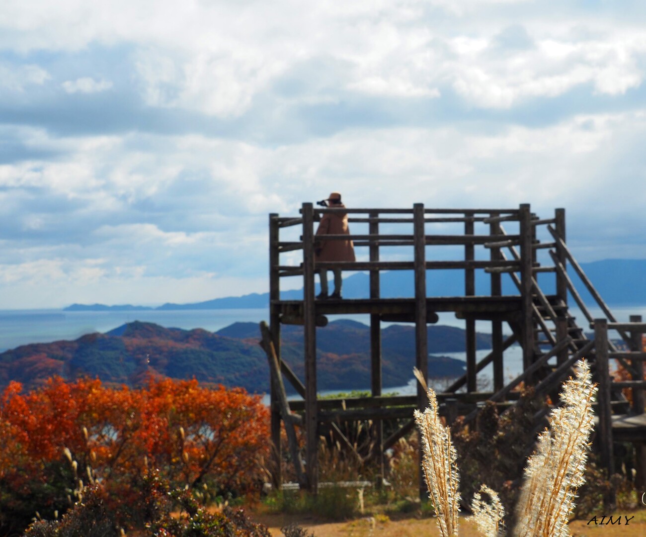 岡山ブルーラインを紅葉ドライブしながら夕... / aiさんのモーメント | YAMAP / ヤマップ