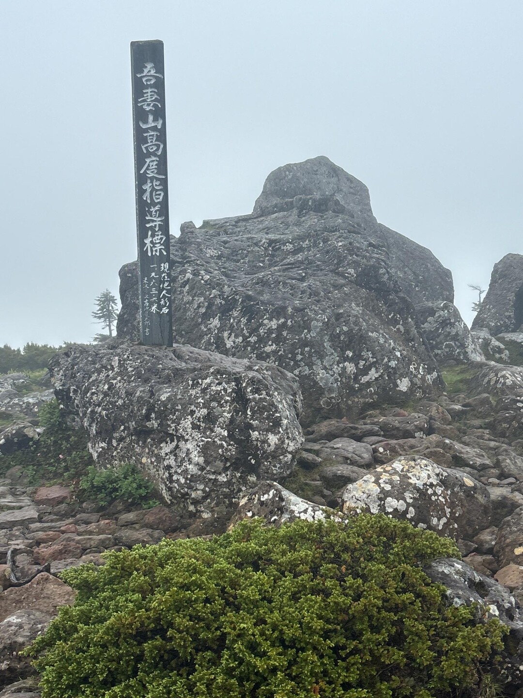雨中ー西吾妻山 / TK-one.comさんの吾妻山・一切経山の活動日記 | YAMAP / ヤマップ