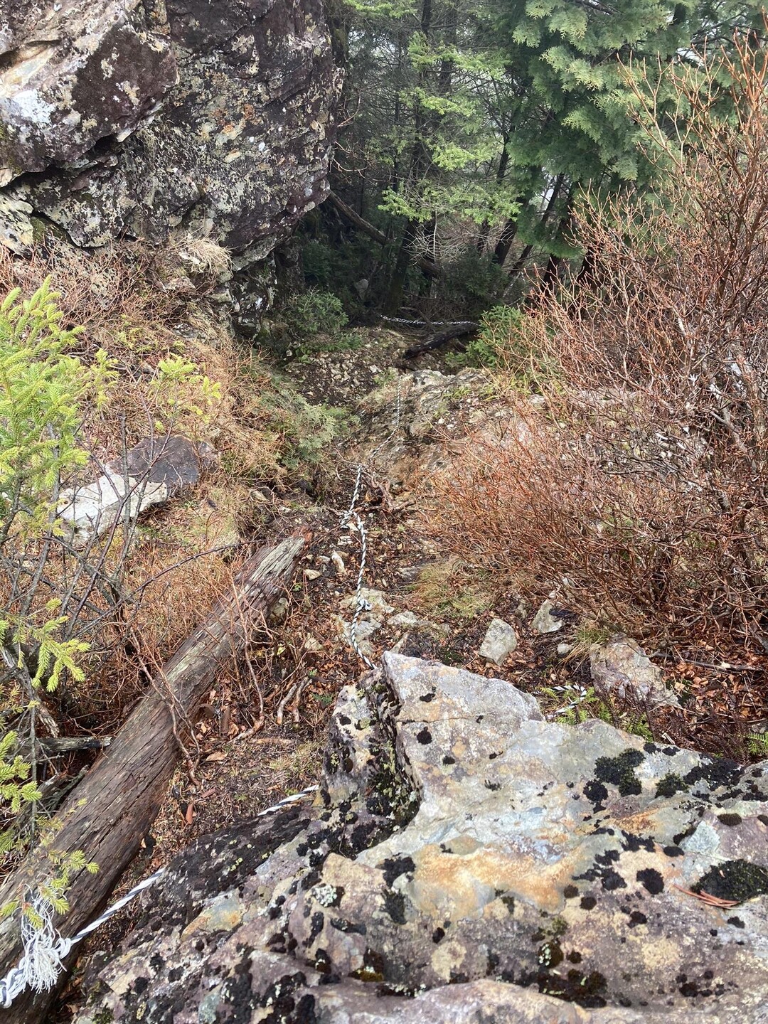 akimetalさんの投稿したフィールドメモ | YAMAP / ヤマップ