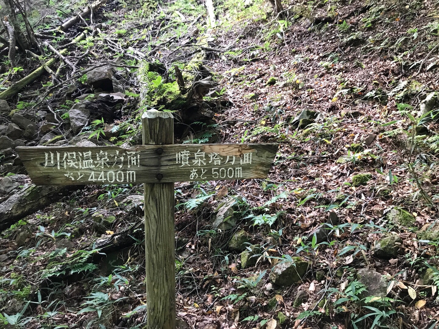 kaikeiちゃんねる(YouTube)さんの投稿したフィールドメモ | YAMAP / ヤマップ