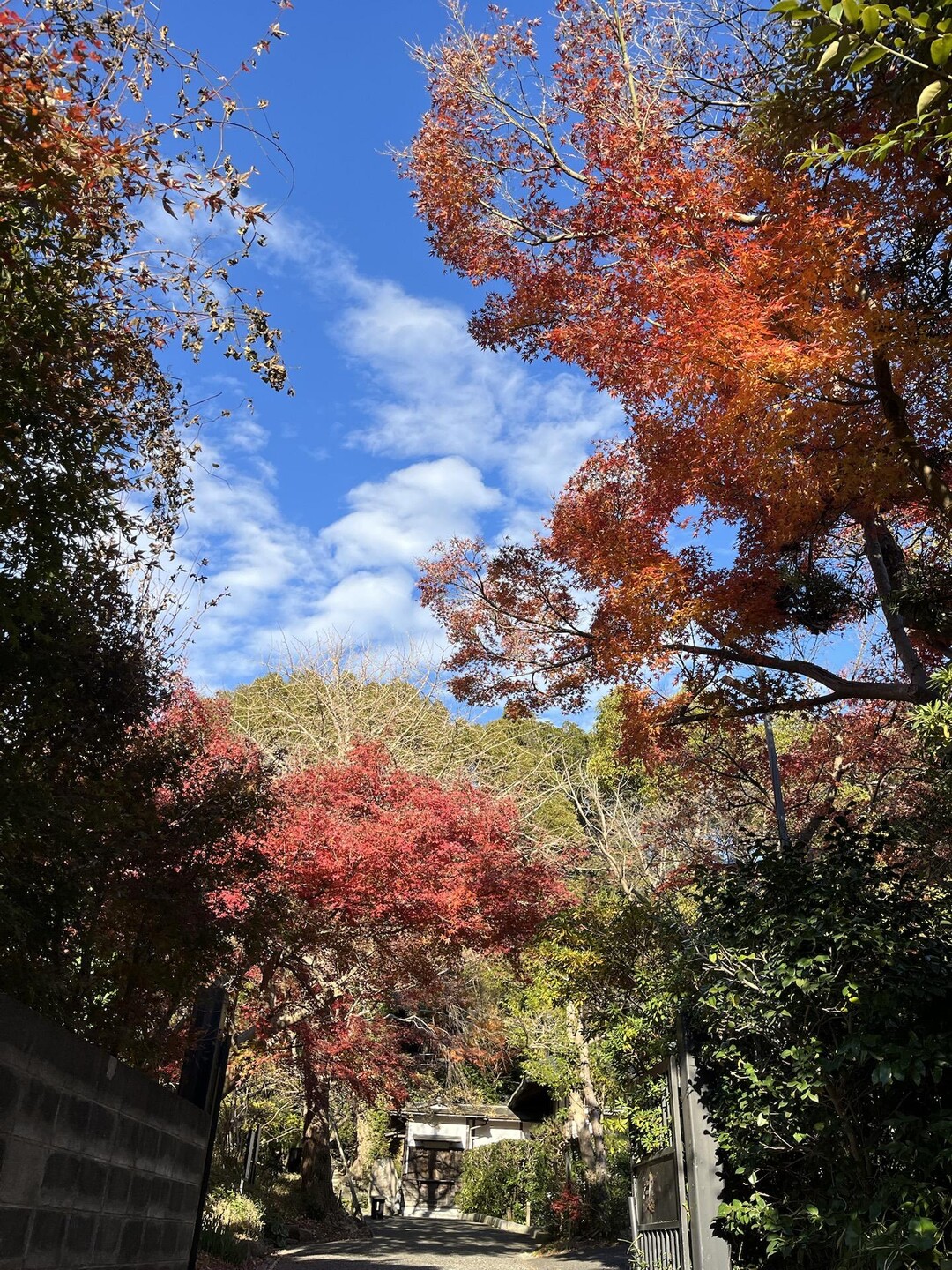 よこすかロゲイニング-2024-12-28① / ちあきさんのよこすかロゲイニングの活動日記 | YAMAP / ヤマップ