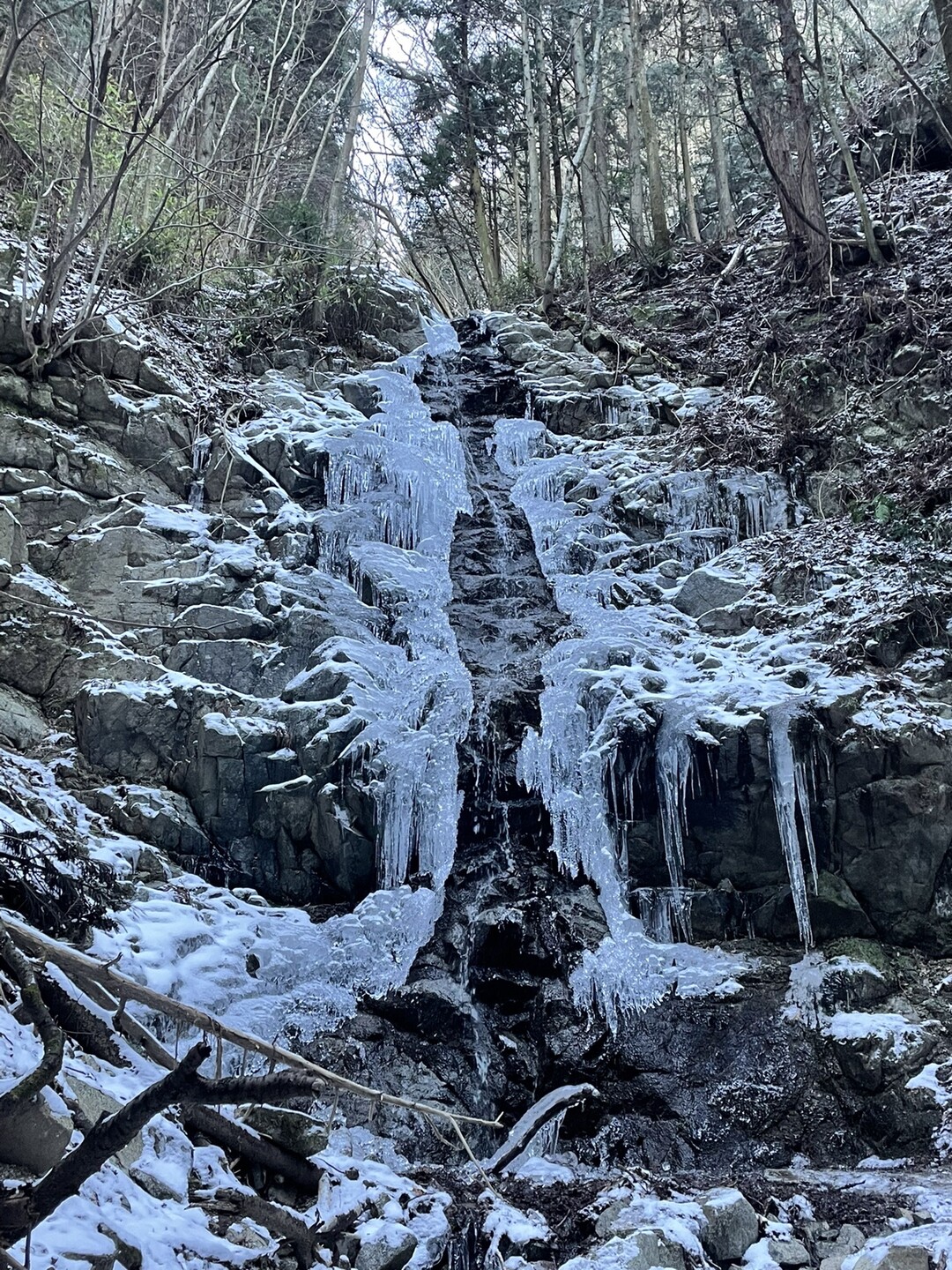 金剛山🏔氷瀑とヤマガラちゃん🐦を見に😍 / kaoriさんの金剛山・二上山・大和葛城山の活動データ | YAMAP / ヤマップ