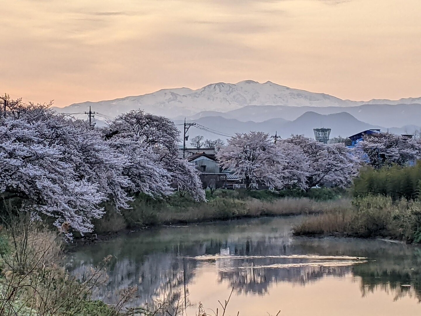 今朝もいい天気☀ウォーキング4km👣 ... / きのこのこ@さんのモーメント | YAMAP / ヤマップ