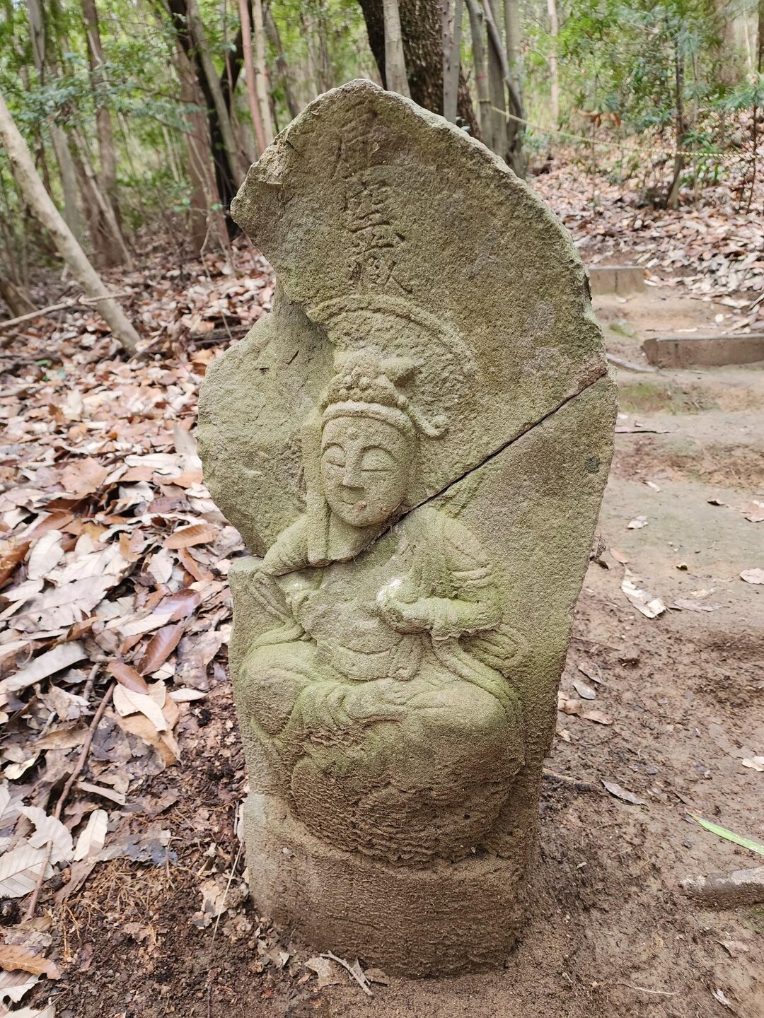 由良山 / ichiさんの上佐山・日山の活動日記 | YAMAP / ヤマップ