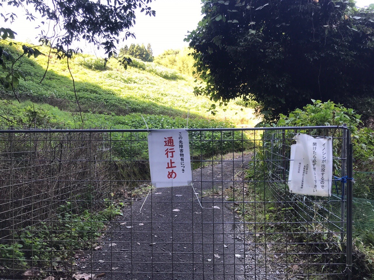 YAMANOBUさんの投稿したフィールドメモ | YAMAP / ヤマップ