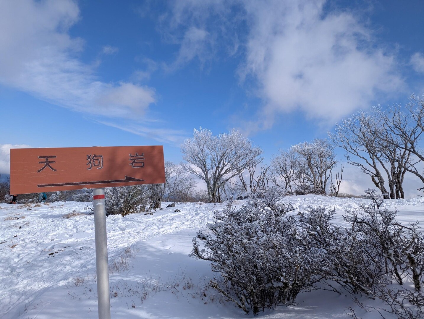 天狗岩・頭陀ヶ平・子向井山 / hana356さんの藤原岳・御池岳の活動データ | YAMAP / ヤマップ