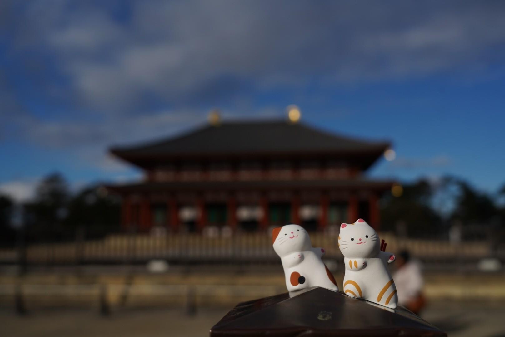 奈良さんぽ / kuu-nyanさんのウォーキングの活動データ | YAMAP / ヤマップ