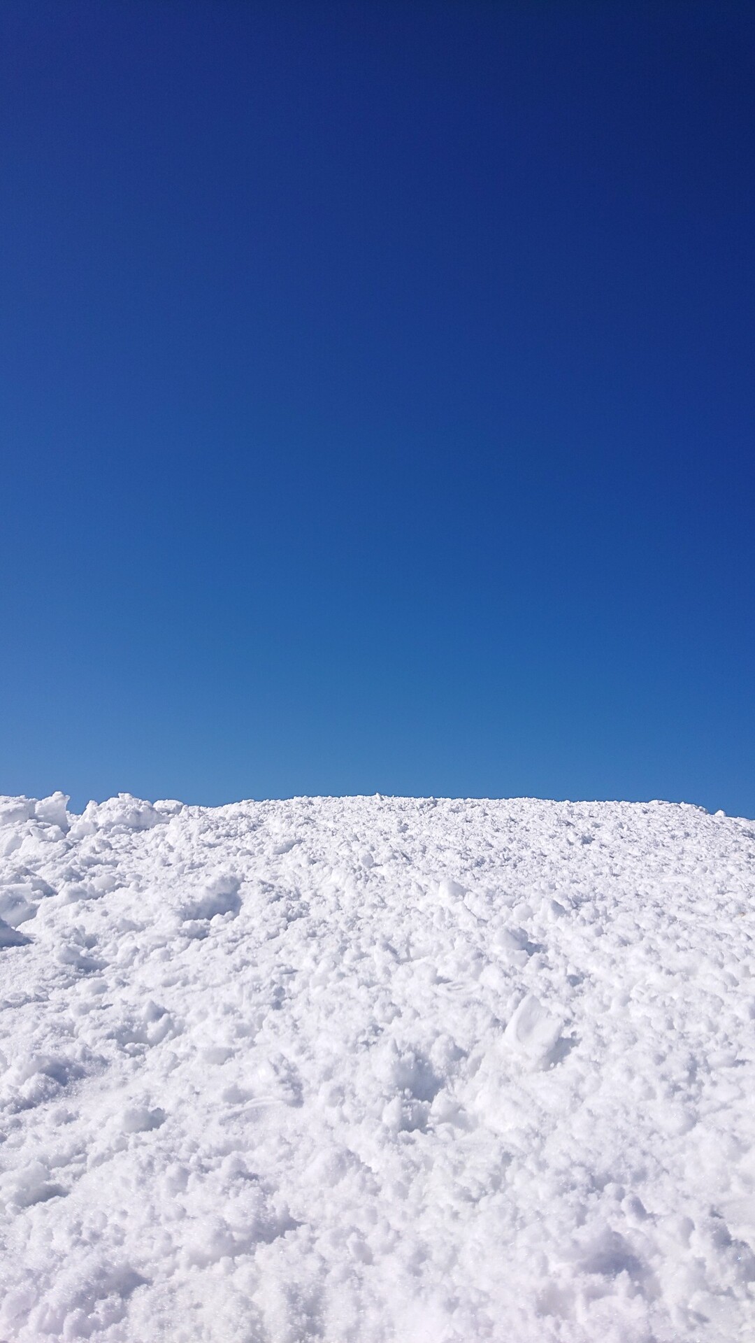 🤍白と💙青の世界🏔️綿向山 / Toshiさんの綿向山の活動日記 | YAMAP / ヤマップ