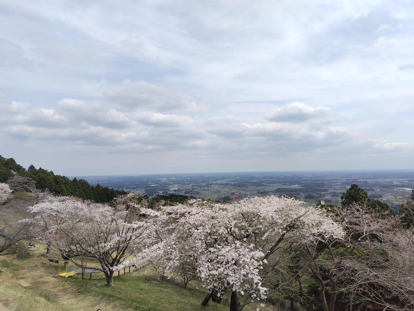 ATAGO FOREST HOUSEが新... / ふぁるさんのモーメント | YAMAP / ヤマップ