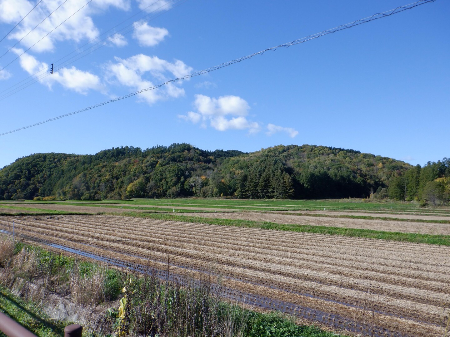 牛別山 / sapさんの当麻山・将軍山の活動データ | YAMAP / ヤマップ