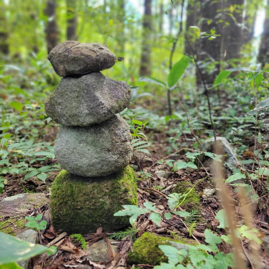 彷徨う五輪山 里キン2 / NOMさんの五輪山の活動データ | YAMAP / ヤマップ