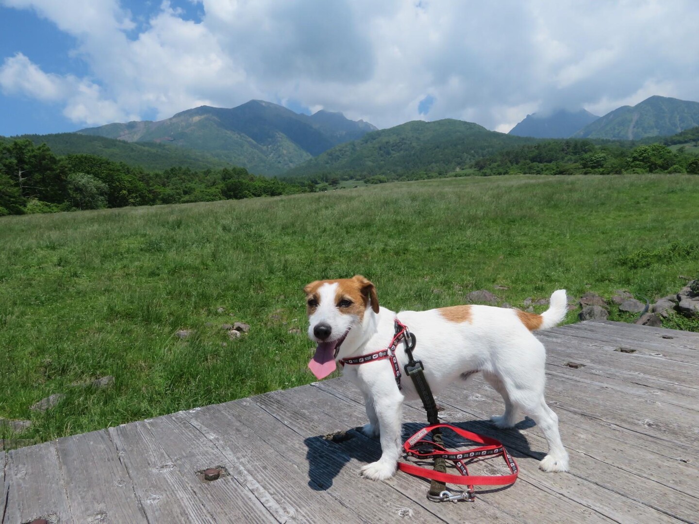 美し森山・天女山 / Veenaさんの八ヶ岳（赤岳・硫黄岳・天狗岳）の活動データ | YAMAP / ヤマップ