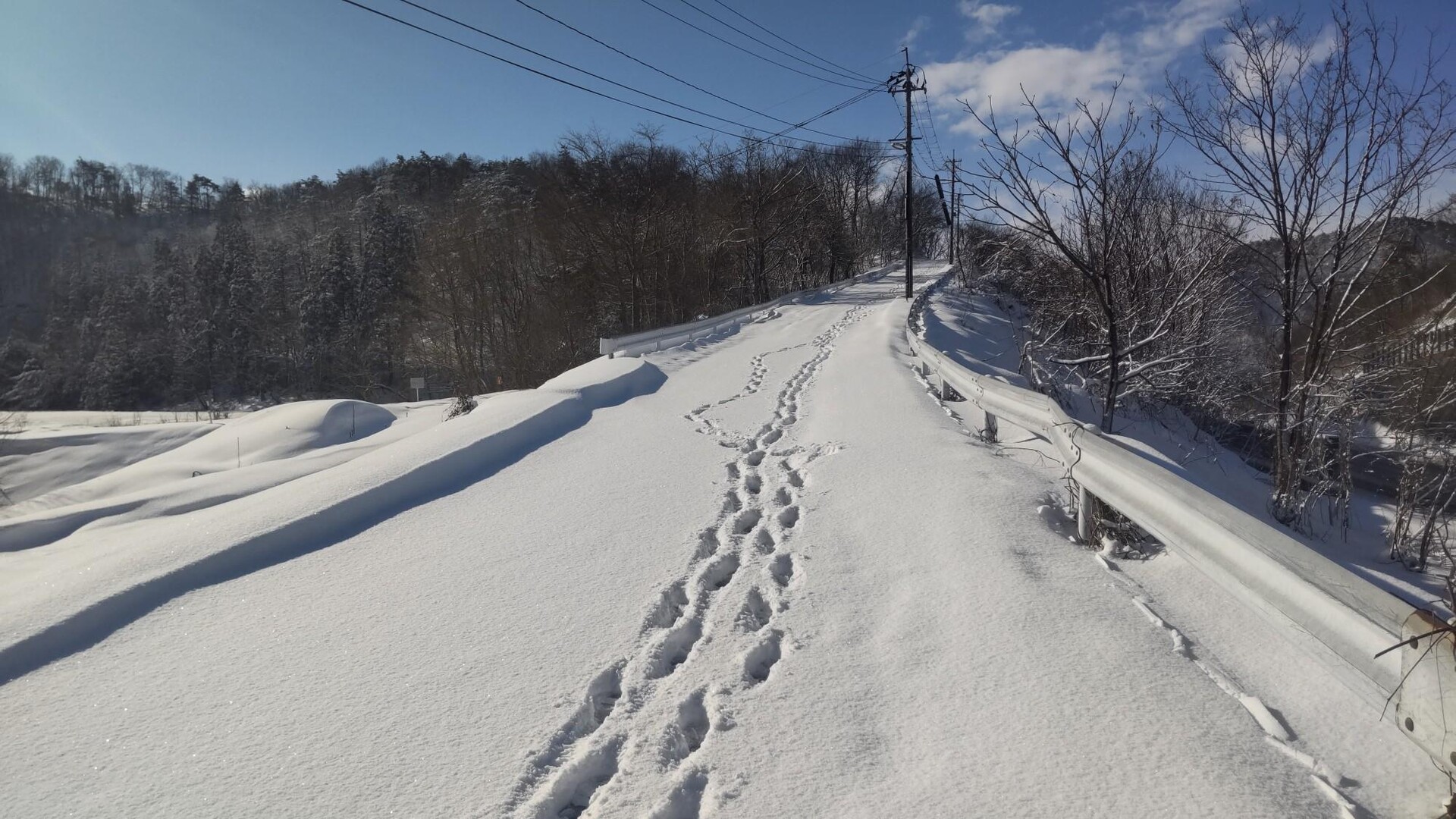 山百11座TVスター高ツムジ山 / zaomonsさんの高ツムジ山・十分一山の活動日記 | YAMAP / ヤマップ