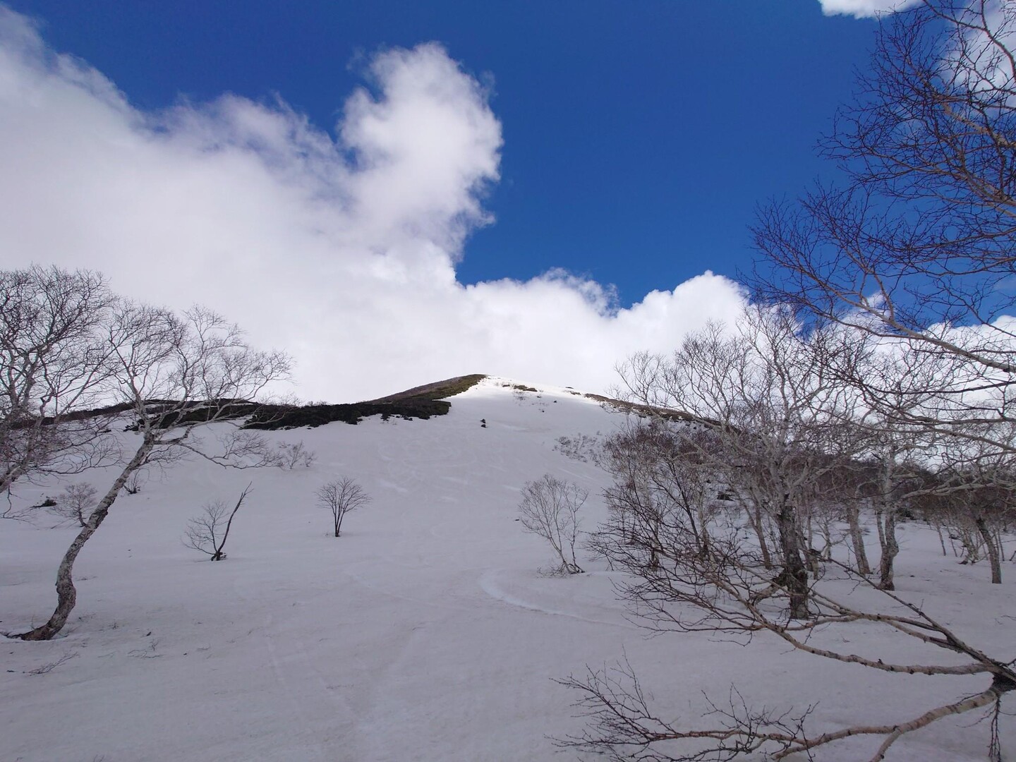 832m峰・チセヌプリ / としさんのニセコアンヌプリ・イワオヌプリ・チセヌプリの活動データ | YAMAP / ヤマップ