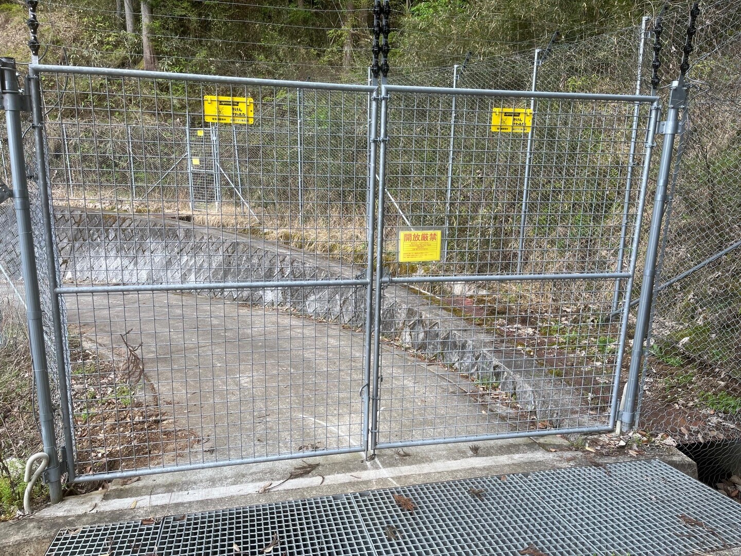 mskふぅさんの投稿したフィールドメモ | YAMAP / ヤマップ