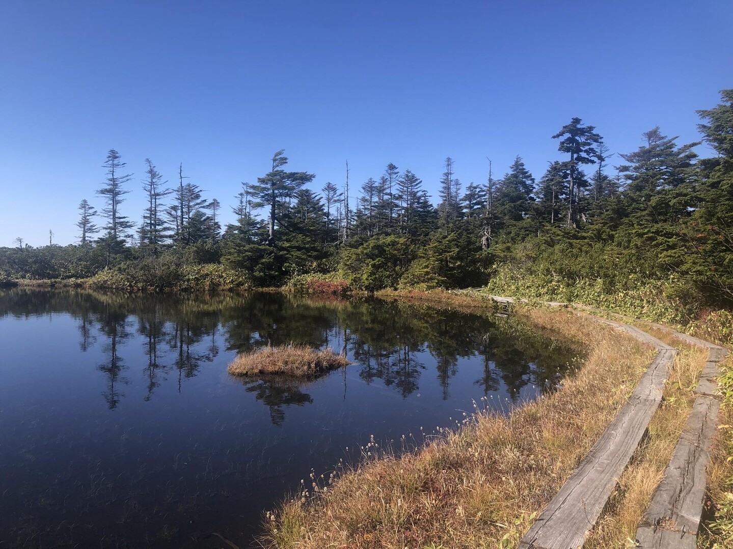 焼額山 / muneさんの焼額山の活動データ | YAMAP / ヤマップ