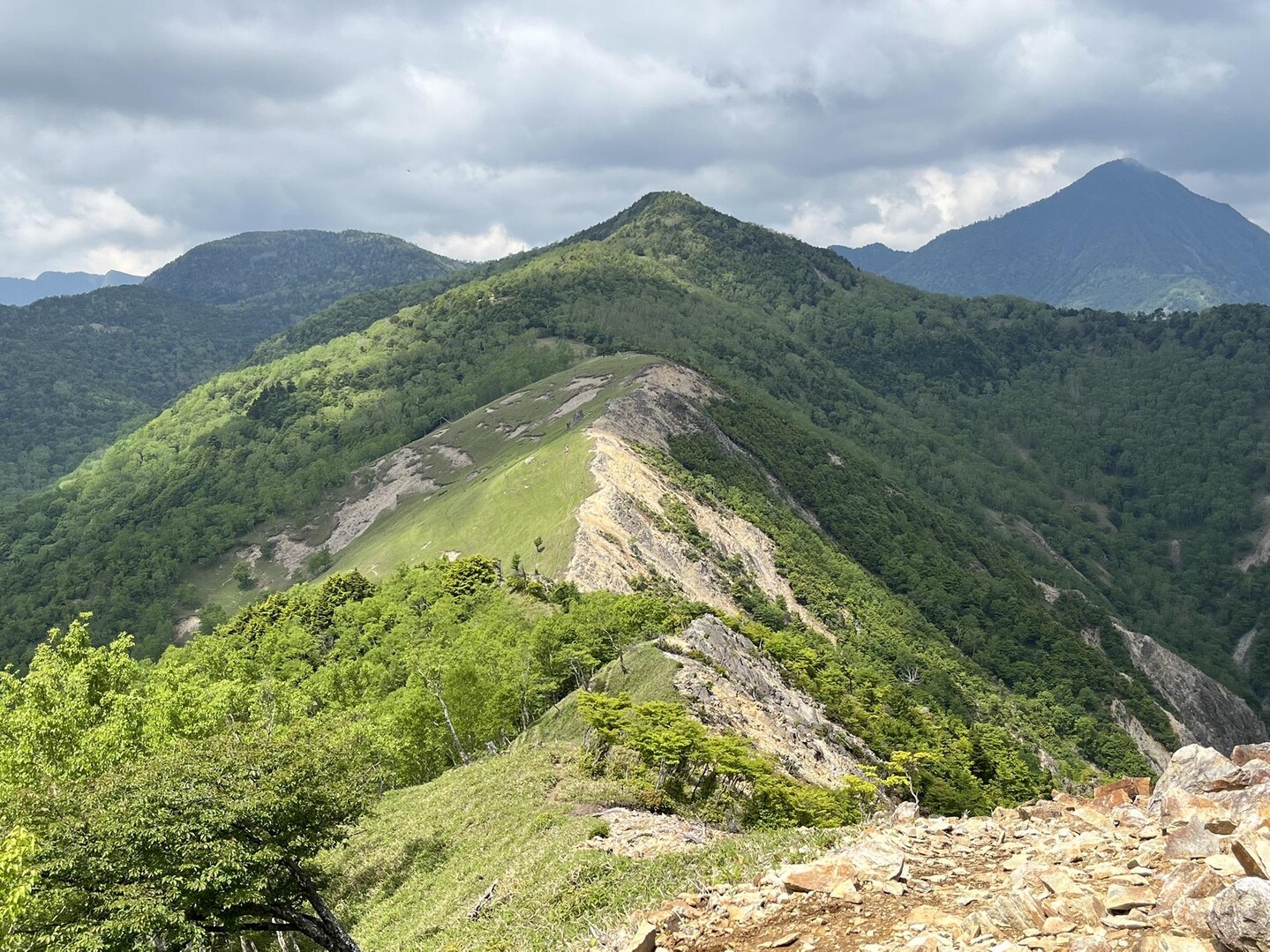 中倉山〜庚申山-2024-06-08 / Ma-buさんの皇海山・袈裟丸山・庚申山の活動データ | YAMAP / ヤマップ