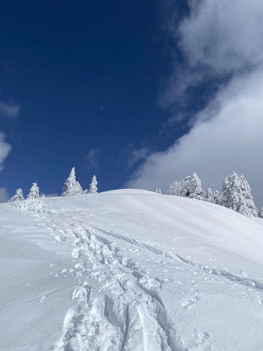 戸隠スキー&黒姫山 / mk_013さんの黒姫山の活動データ | YAMAP / ヤマップ
