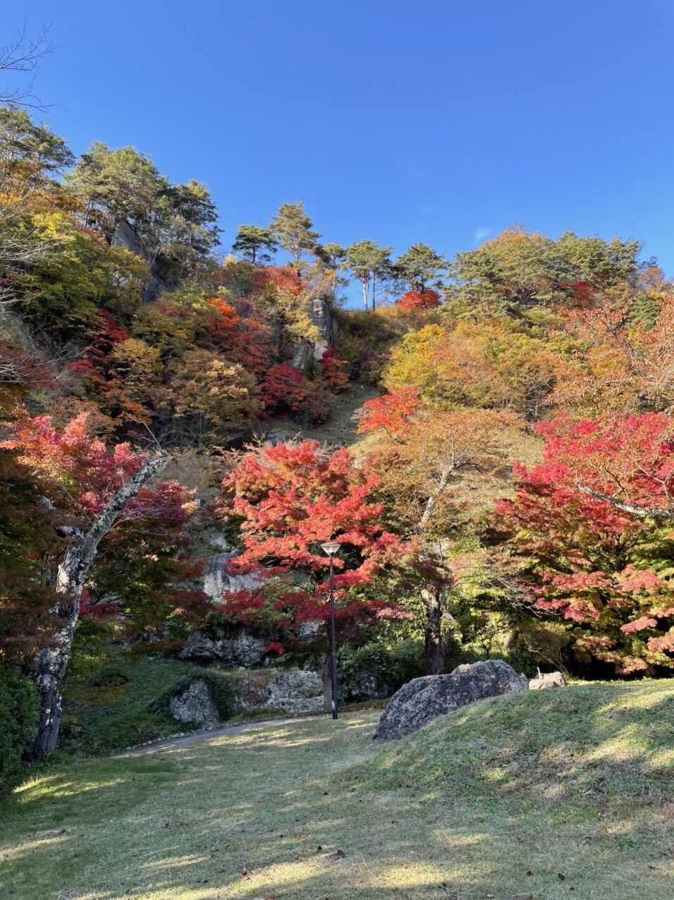 七座山からのきみまち阪公園 ️ / nepukoさんのウォーキングの活動データ | YAMAP / ヤマップ