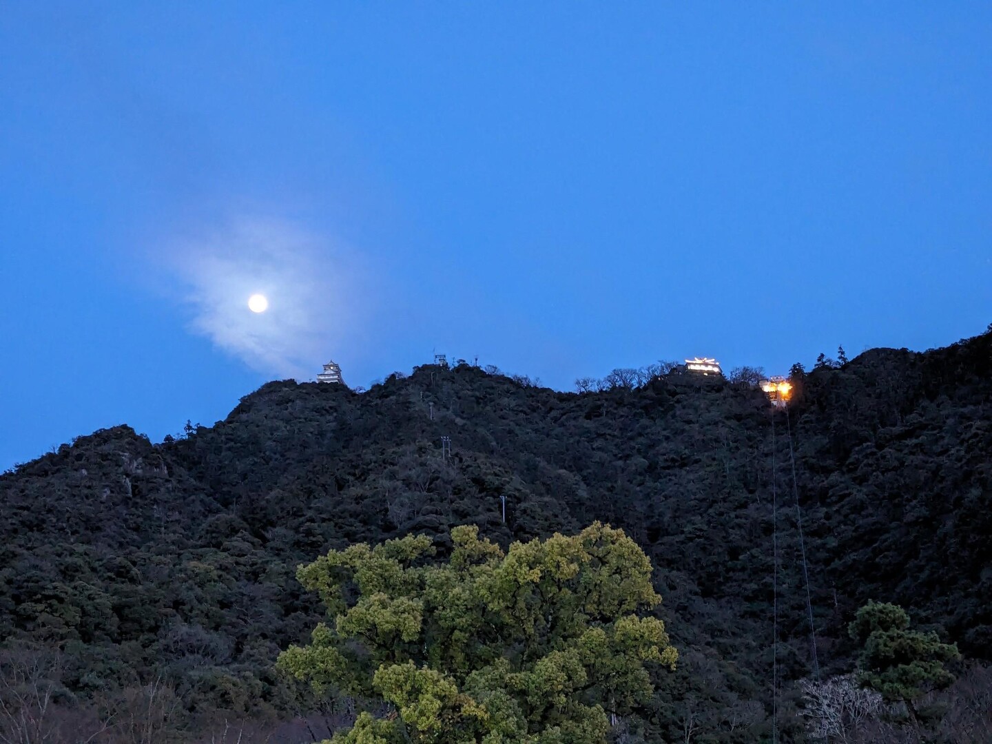 金華山 / emi.sanさんの金華山・洞山・舟伏山の活動データ | YAMAP / ヤマップ