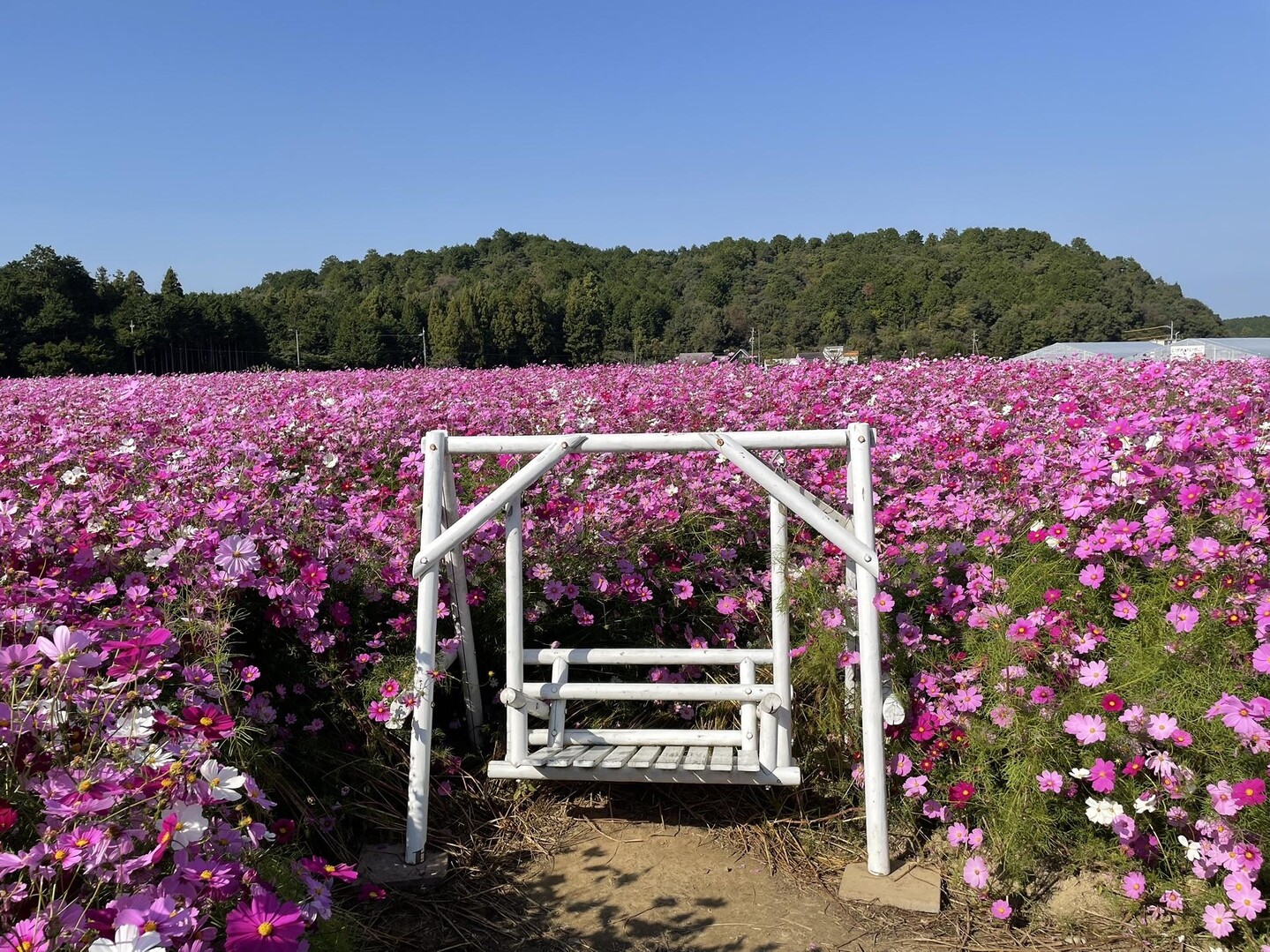 玉城ICから10ピーク / ちふちふさんの国束山・大日山の活動データ | YAMAP / ヤマップ
