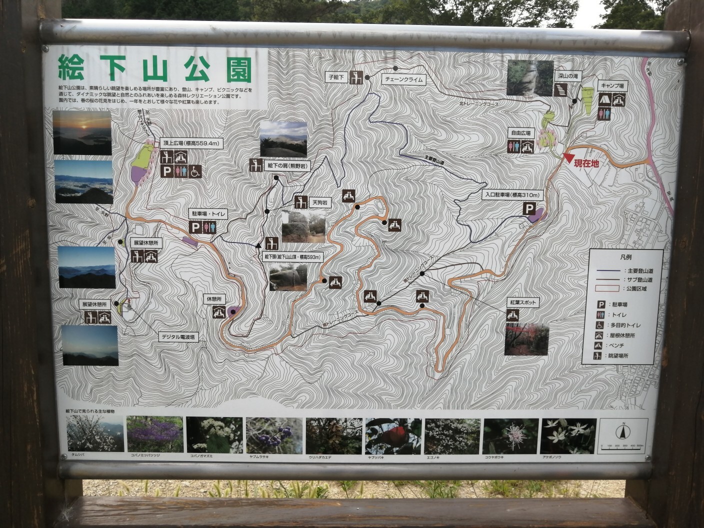 豪雨災害の爪痕が残る 絵下山と子の岳ウォーキング-2022-08-12 / Mini Houseさんの絵下山・天狗城山・森山の活動日記 | YAMAP / ヤマップ