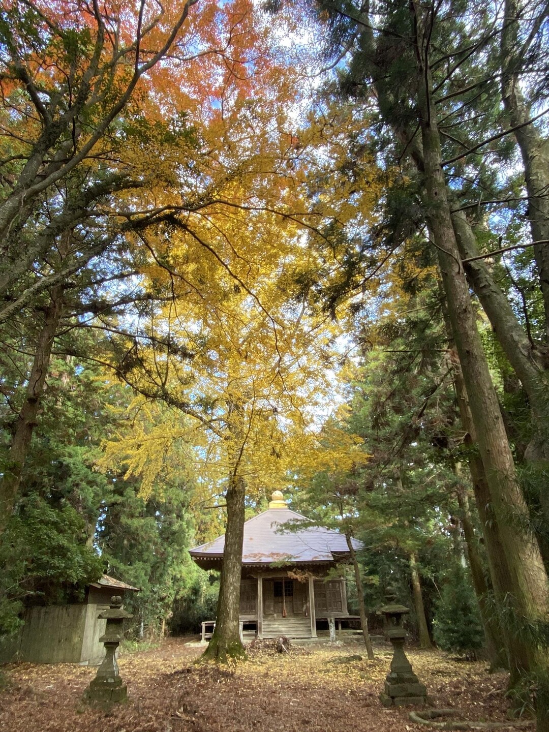 羽束山 / kemaさんの羽束山の活動データ | YAMAP / ヤマップ