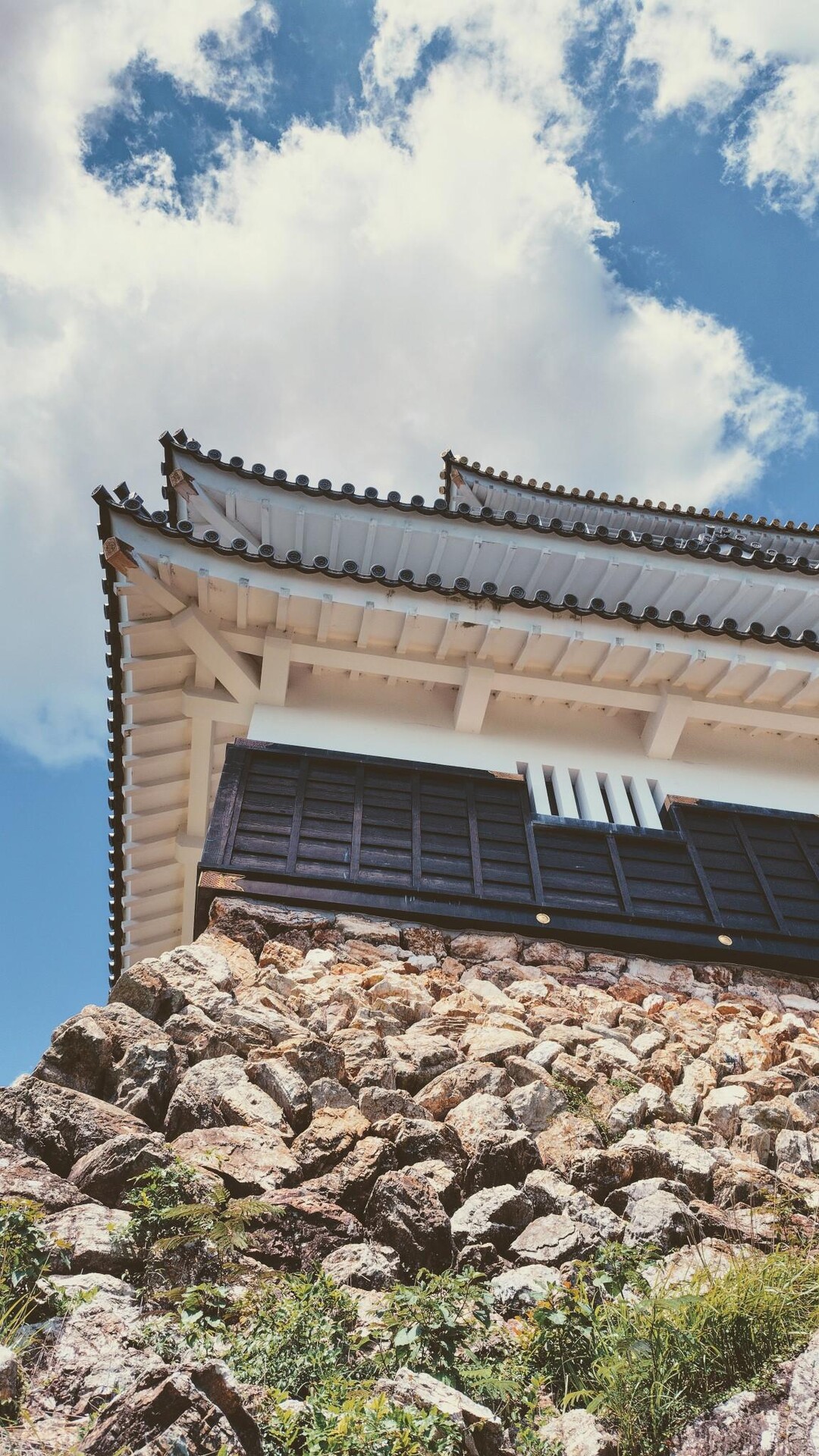 MRI検査 / カタオカさんさんの金華山・洞山・舟伏山の活動データ | YAMAP / ヤマップ