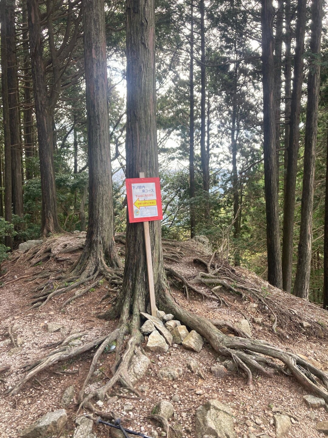 kaz330さんの投稿したフィールドメモ | YAMAP / ヤマップ