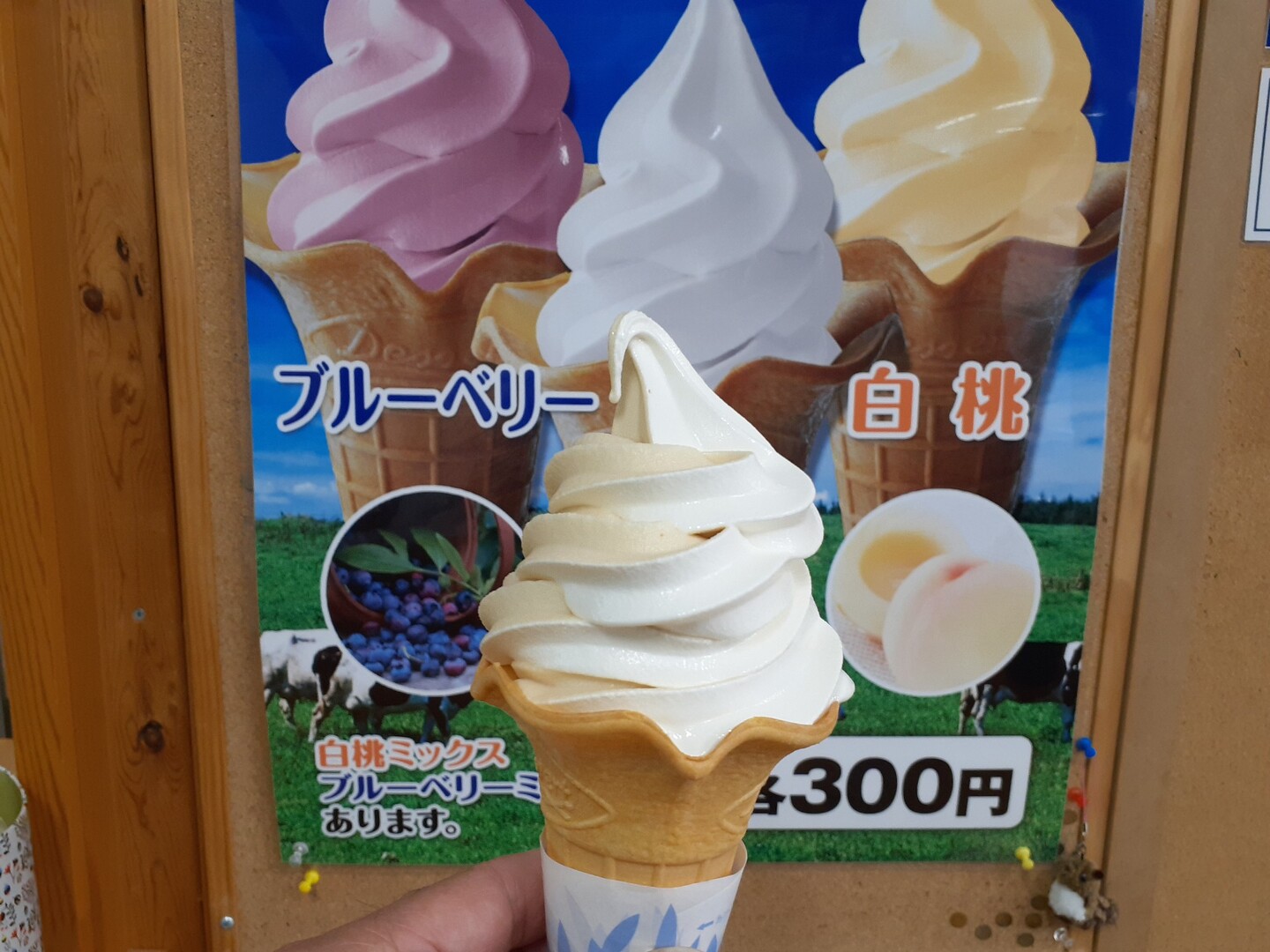 白馬の道の駅の白桃ミックス🤭 / santaさんのモーメント | YAMAP / ヤマップ