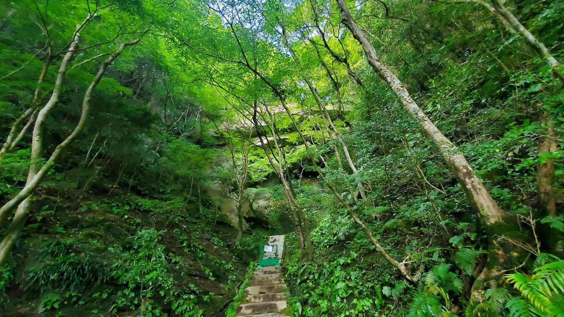 PH 牧ノ岳 / hirobonさんの牧ノ岳の活動データ | YAMAP / ヤマップ