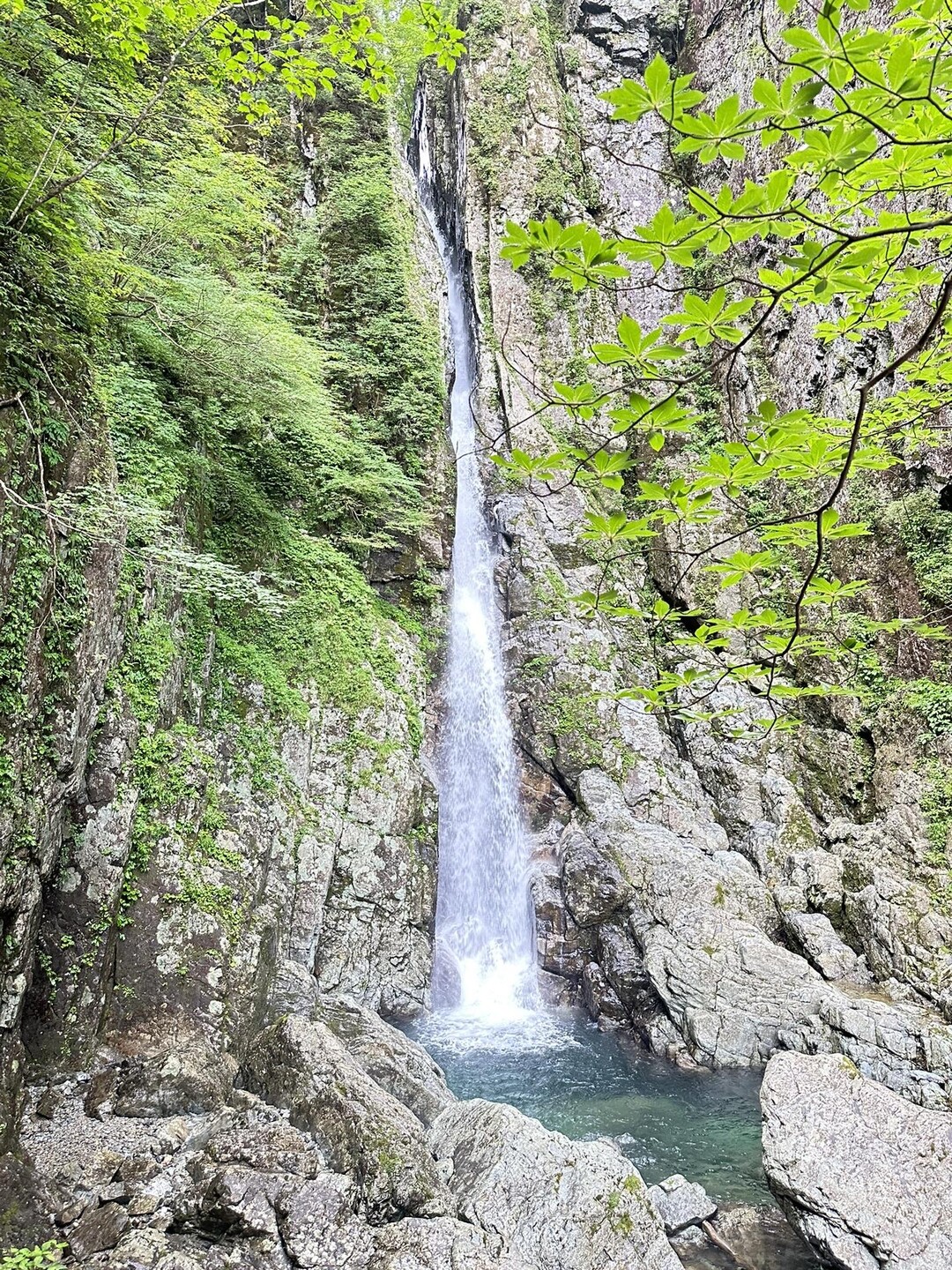 双門 / digi sanさんの八経ヶ岳の活動データ | YAMAP / ヤマップ