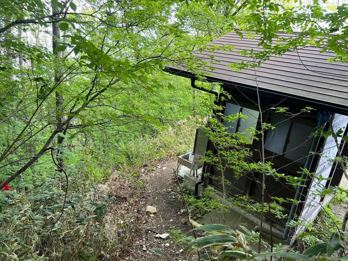 SACHIKO.さんの投稿したフィールドメモ | YAMAP / ヤマップ