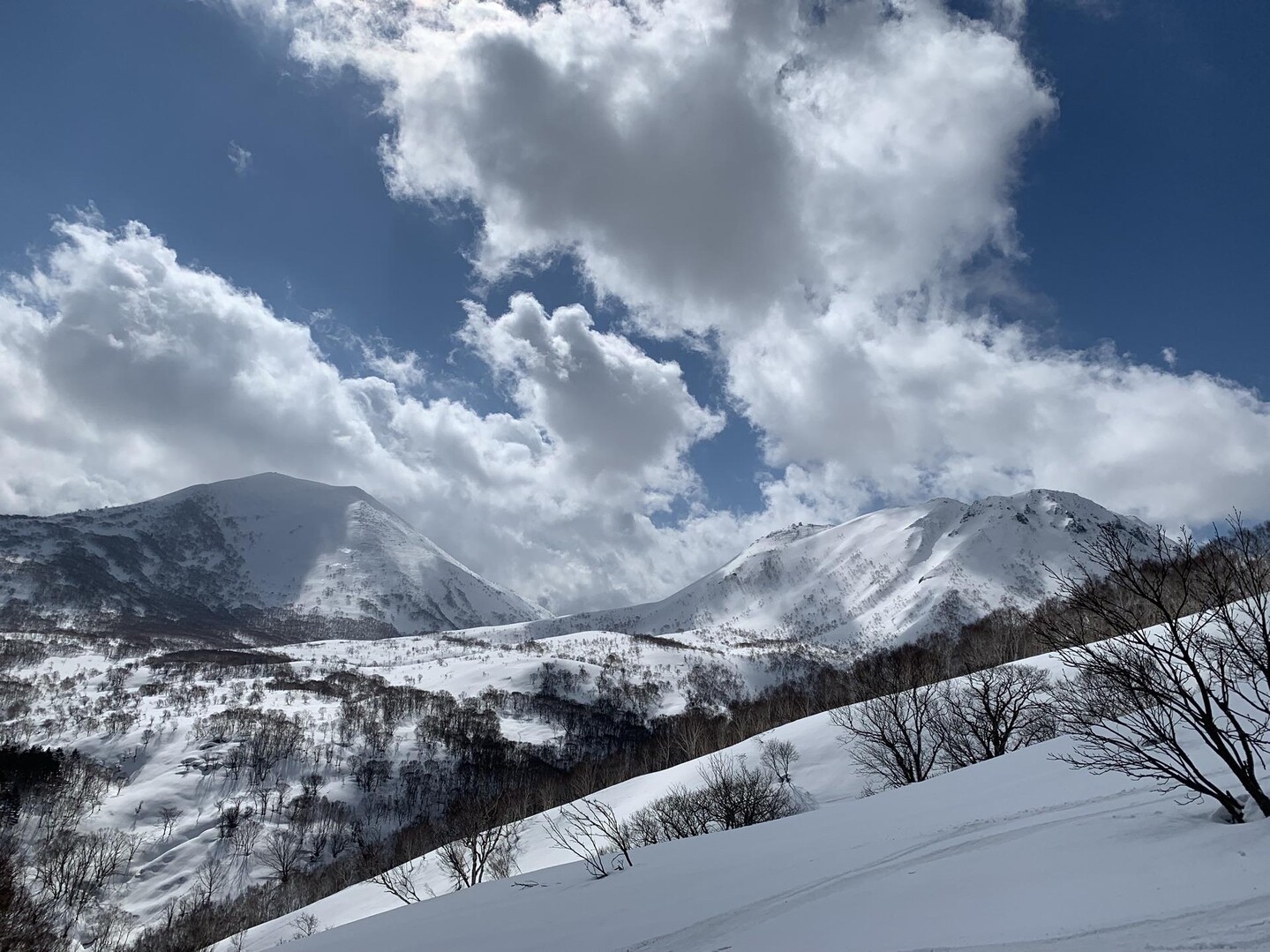 ワイスホルンBC 2023-03-18 / ようこさんのニセコアンヌプリ・イワオヌプリ・チセヌプリの活動データ | YAMAP / ヤマップ