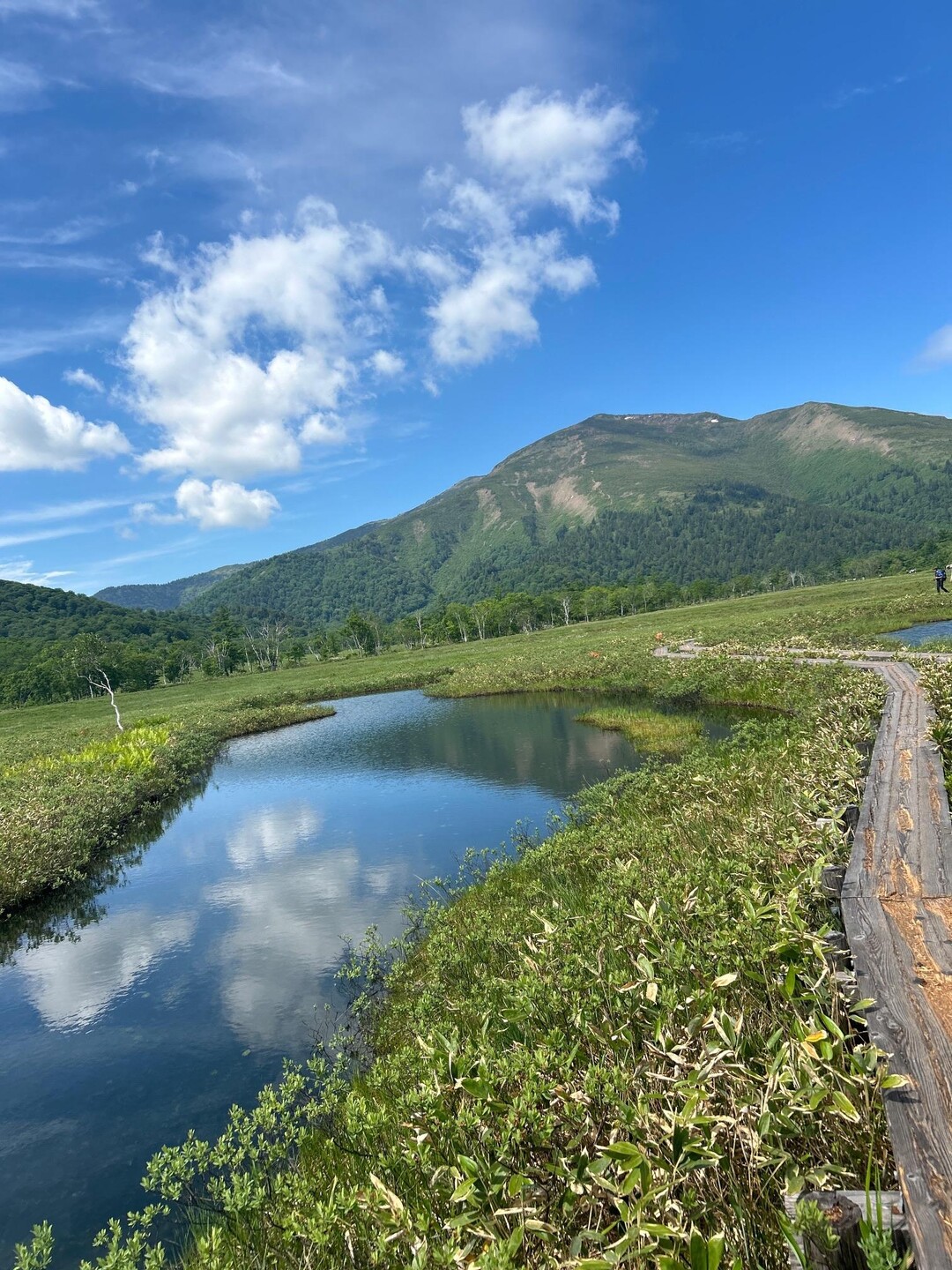 今年も来ました尾瀬ヶ原2DAYS-2024-06-15～16 / なみもりさんの尾瀬・燧ヶ岳の活動データ | YAMAP / ヤマップ