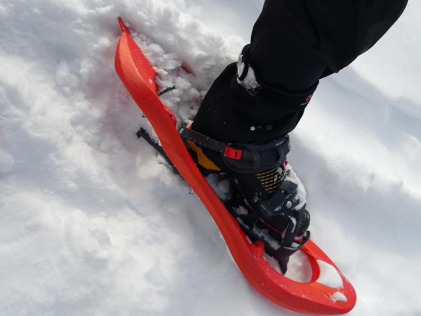 良い人って居るんですよ！噛伊尻・千歳山 / Arcさんの増子山・塩狩山・千歳山の活動データ | YAMAP / ヤマップ