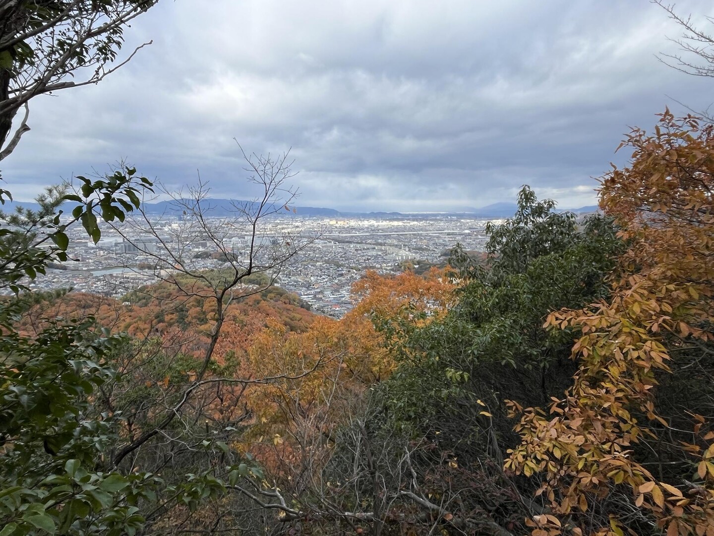 星田連山 / mayumiさんの交野山・国見山の活動データ | YAMAP / ヤマップ