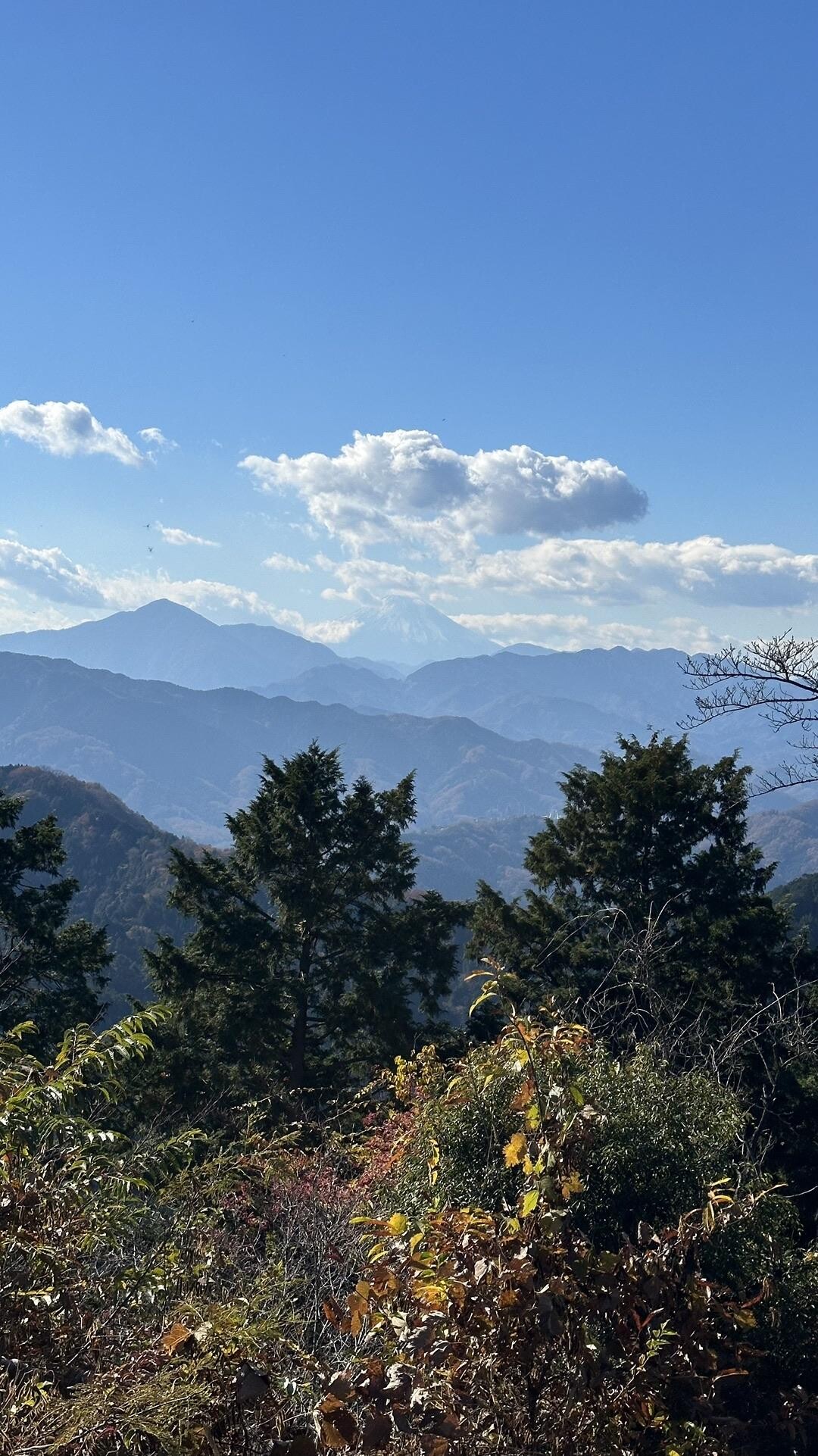 高尾山 / Kaiさんのウォーキングの活動データ | YAMAP / ヤマップ