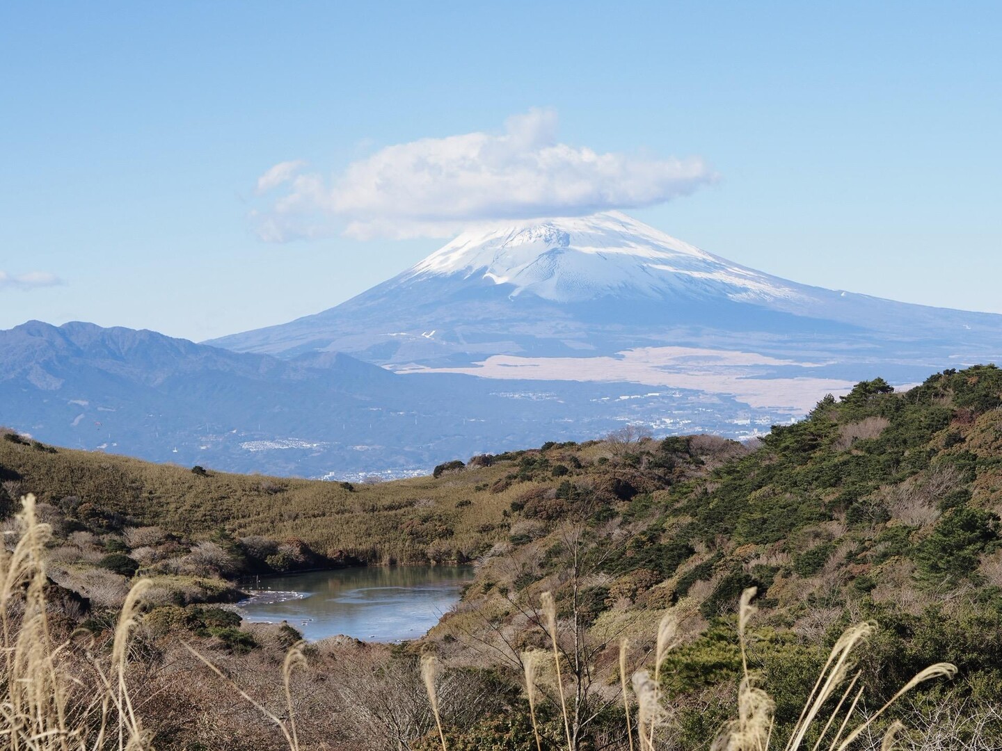 玄岳 / megumiさんの玄岳の活動データ | YAMAP / ヤマップ