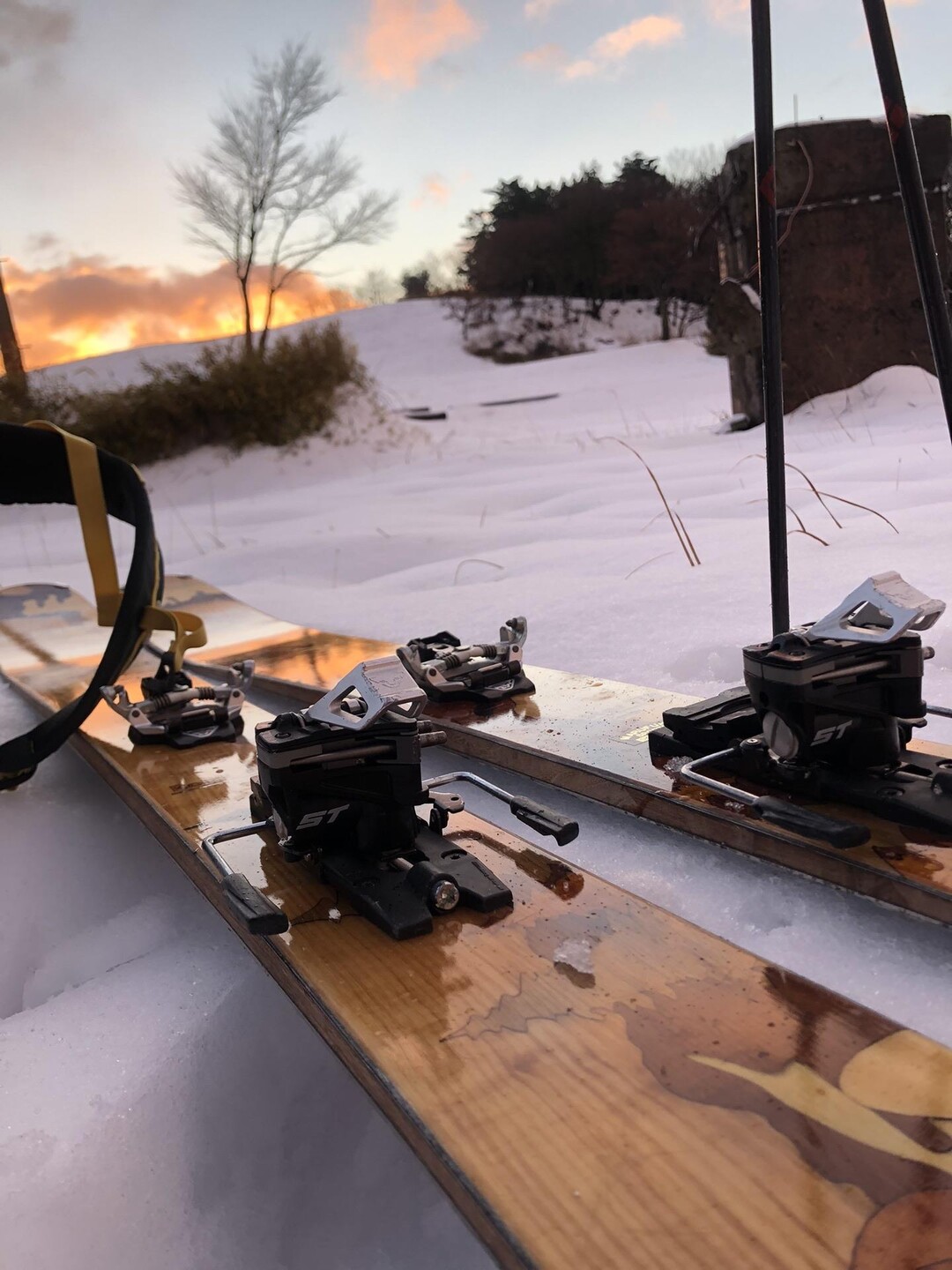 伊吹BC / 鈴鹿sevenさんの伊吹山・伊吹高原・御座峰の活動日記 | YAMAP / ヤマップ